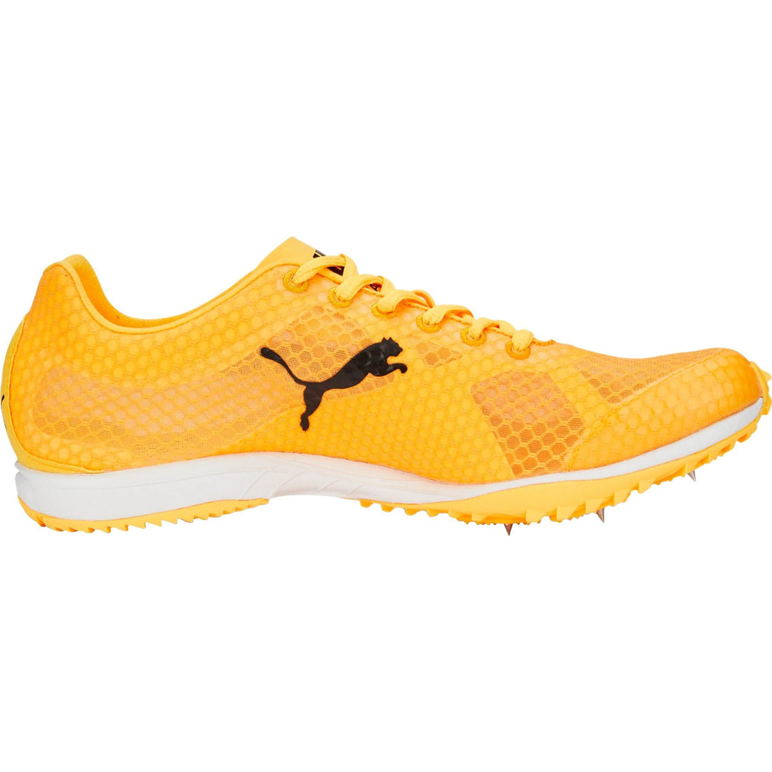 Puma evoSpeed Haraka 7 Cross Country Spikes - Orange – Start Fitness