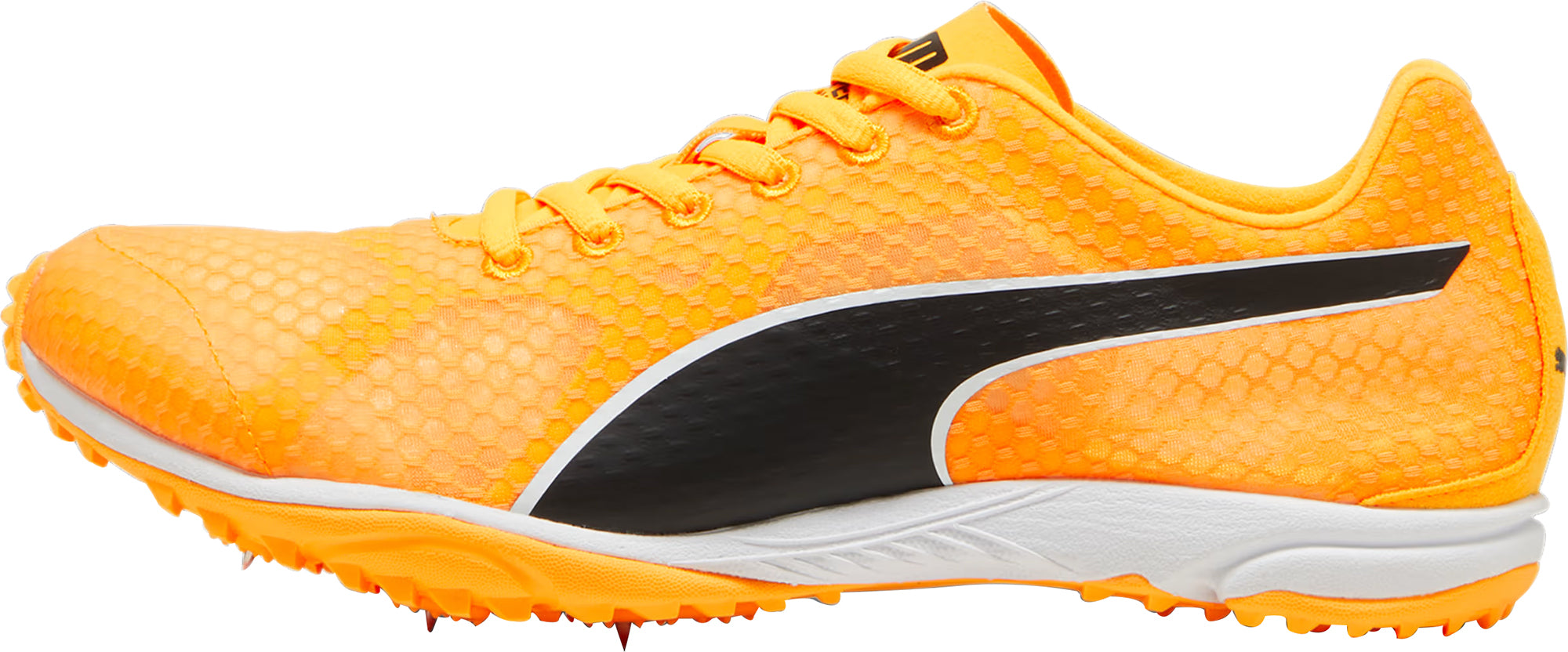 Puma evoSpeed Haraka 8 Cross Country Spikes - Orange – Start Fitness
