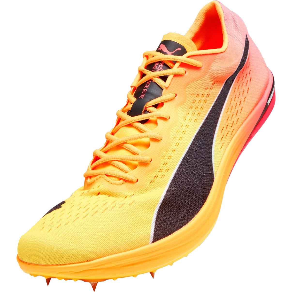 Puma evoSpeed Nitro Elite+ Long Distance Running Spikes - Orange ...
