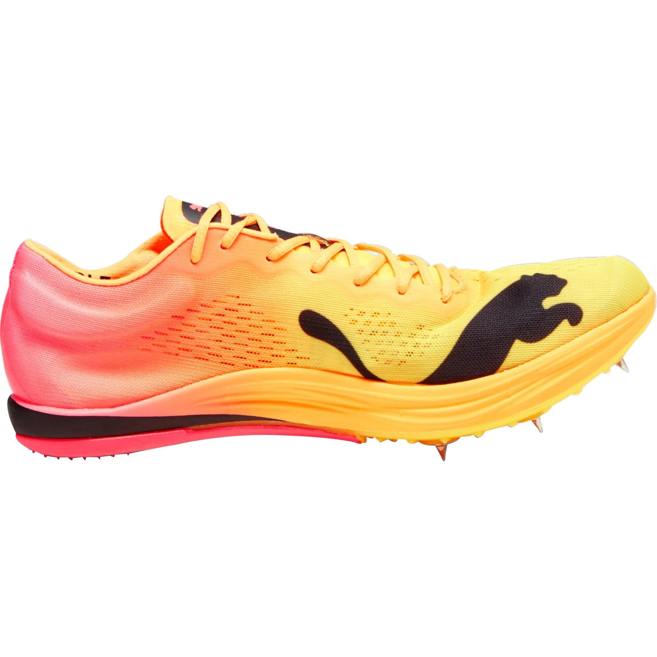 Puma evoSpeed Nitro Elite+ Long Distance Running Spikes - Orange ...