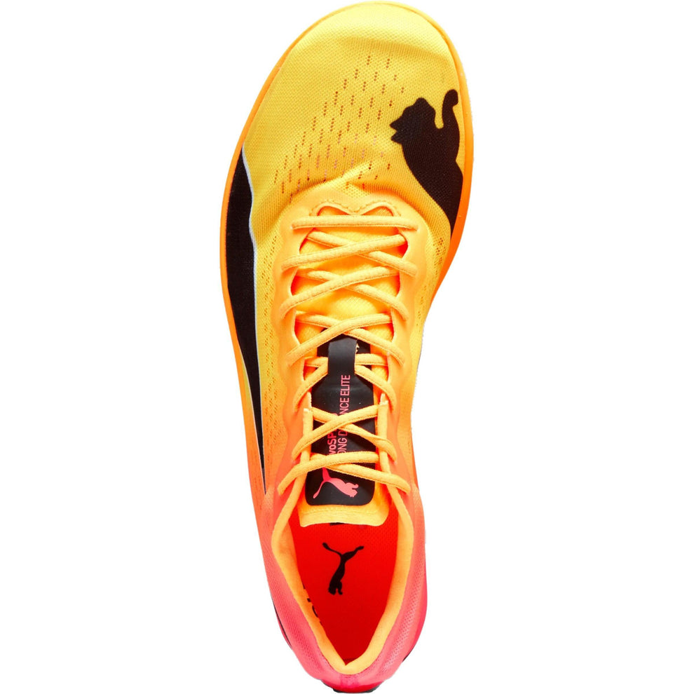 Puma evoSpeed Nitro Elite+ Long Distance Running Spikes - Orange ...
