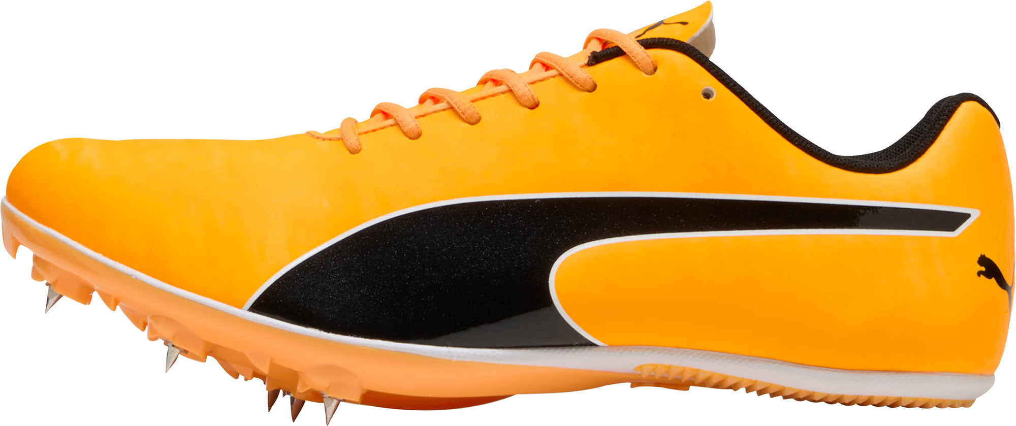 Puma evoSpeed Sprint 14.5 Running Spikes - Orange – Start Fitness