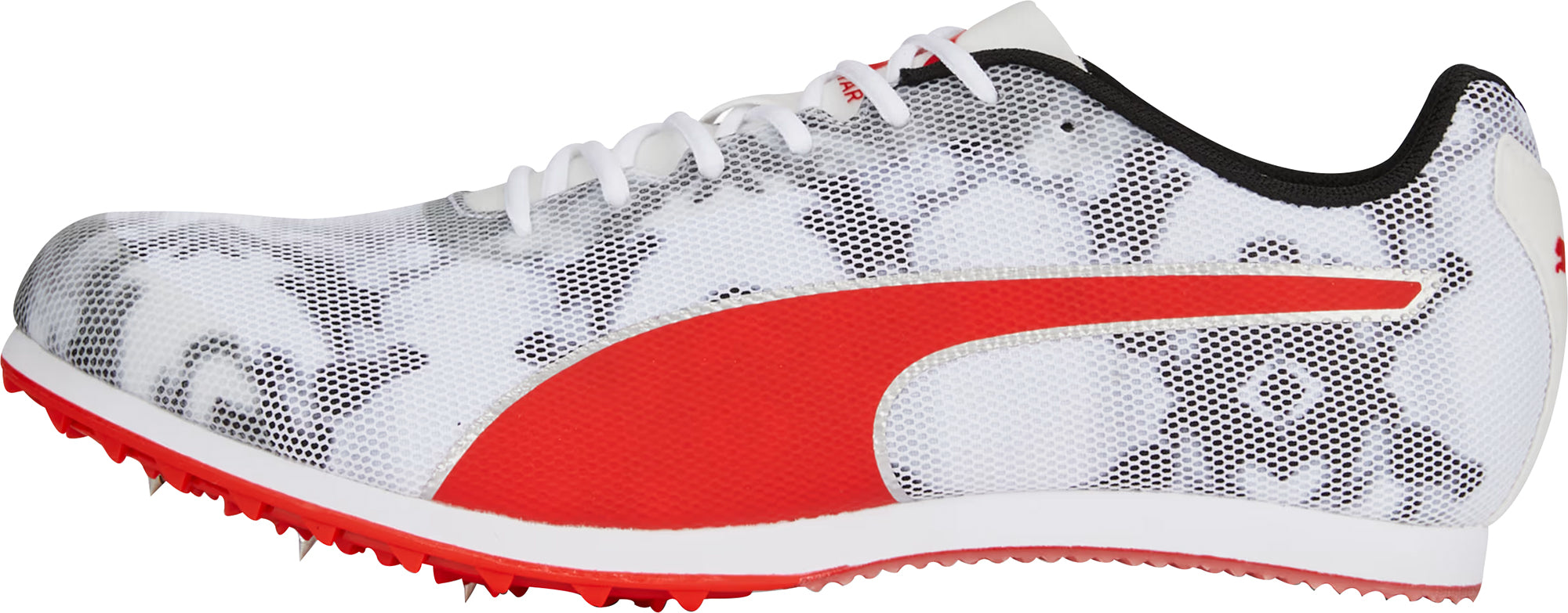 Puma evoSpeed Star 8 Running Spikes - White – Start Fitness