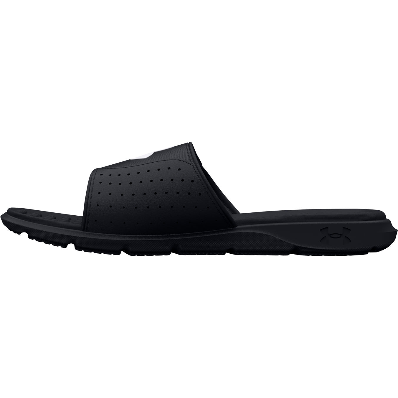 Under Armour Ignite Pro Sliders - Black – Start Fitness