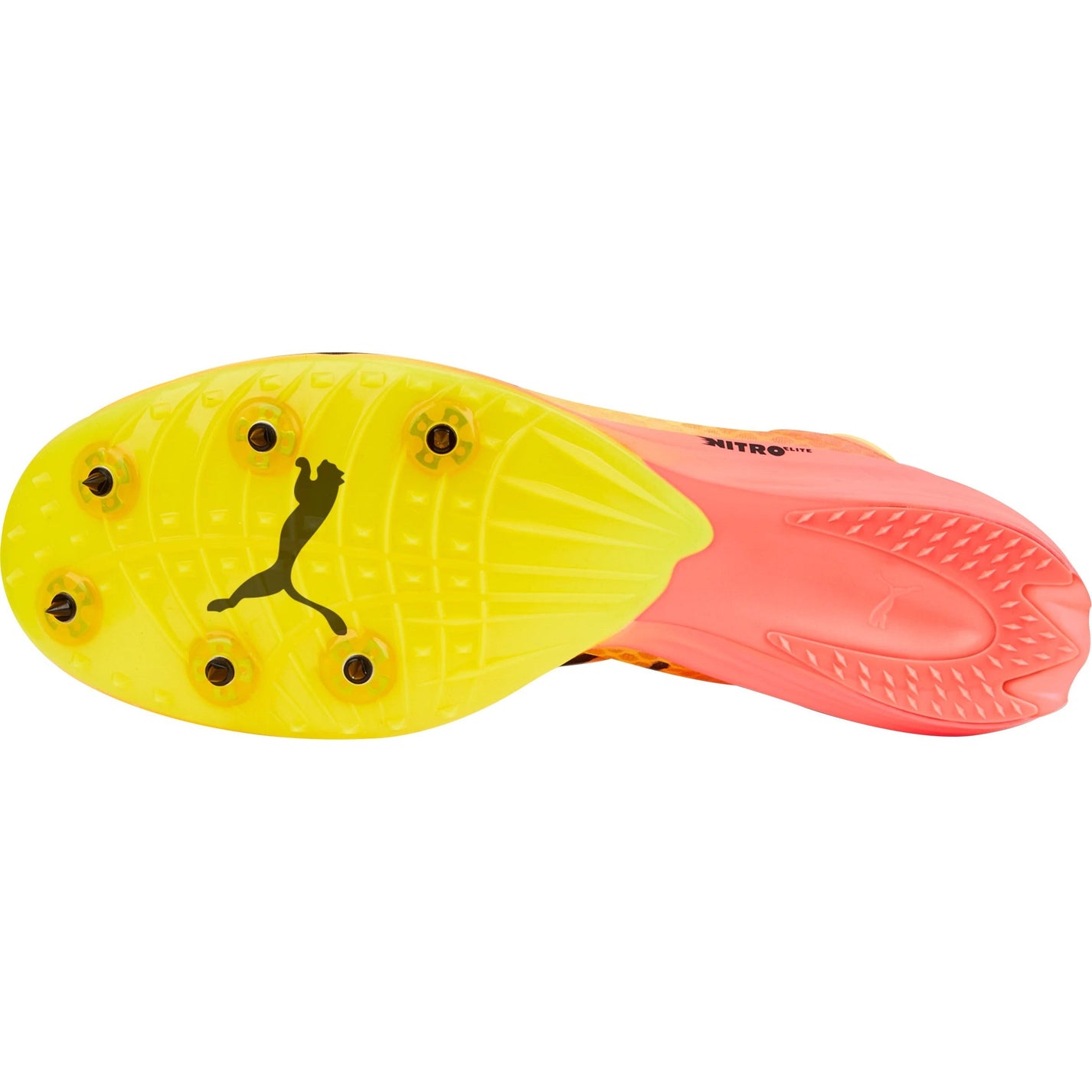 Puma evoSpeed Distance Nitro Elite + 2 Running Spikes - Orange – Start ...