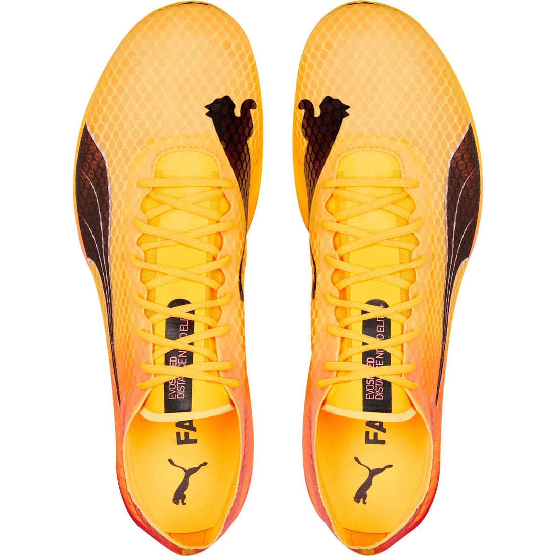 Puma evoSpeed Distance Nitro Elite + 2 Running Spikes - Orange – Start ...