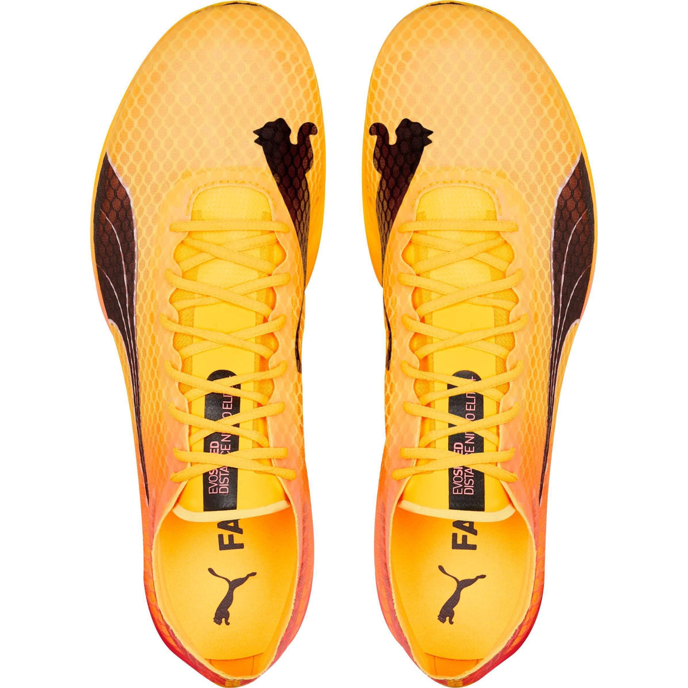 Puma evoSpeed Distance Nitro Elite + 2 Running Spikes - Orange – Start ...