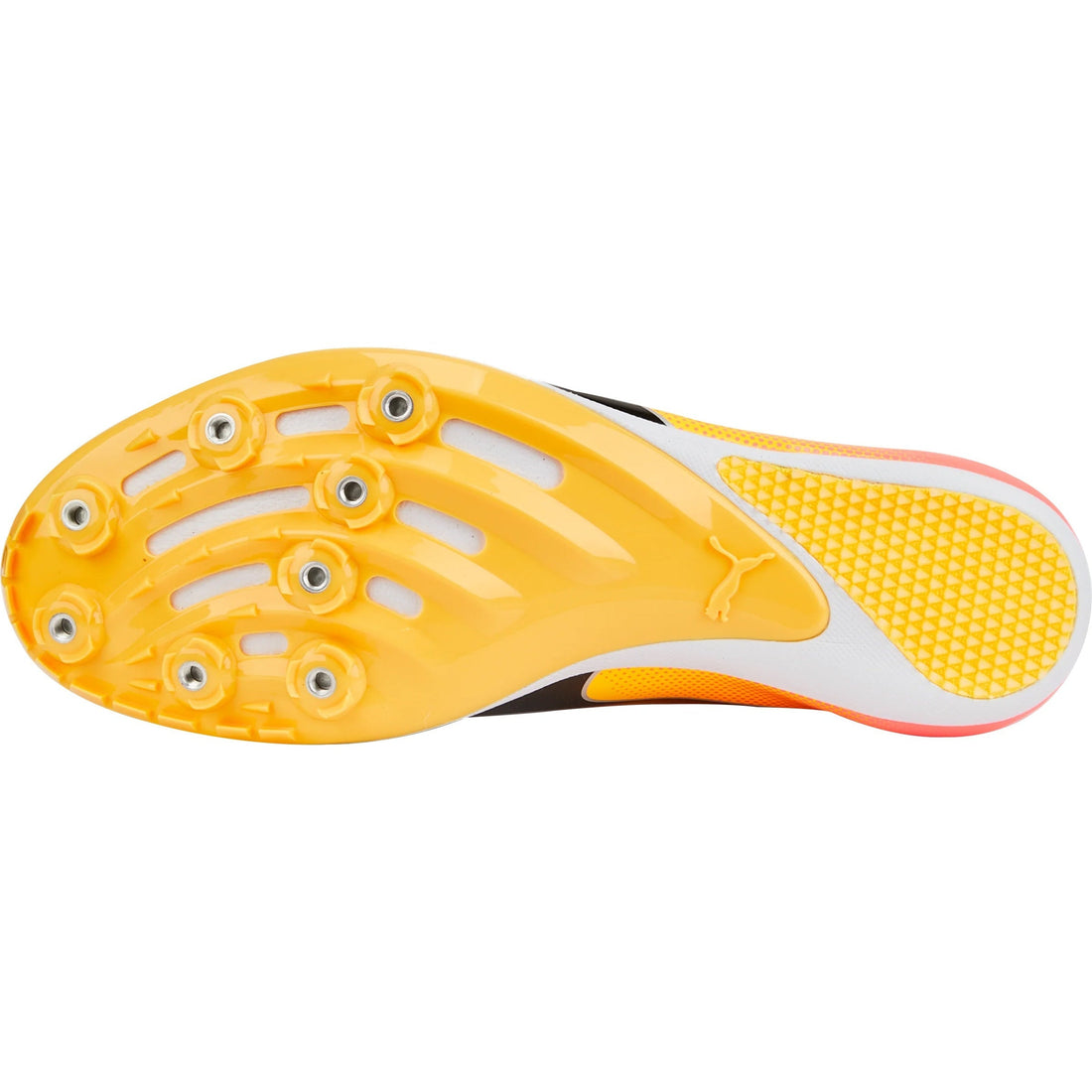 Puma evoSpeed Sprint 14 Running Spikes - Orange – Start Fitness