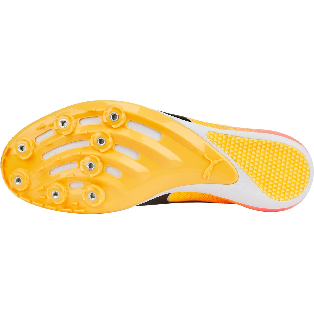 Puma evoSpeed Sprint 14 Running Spikes - Orange – Start Fitness