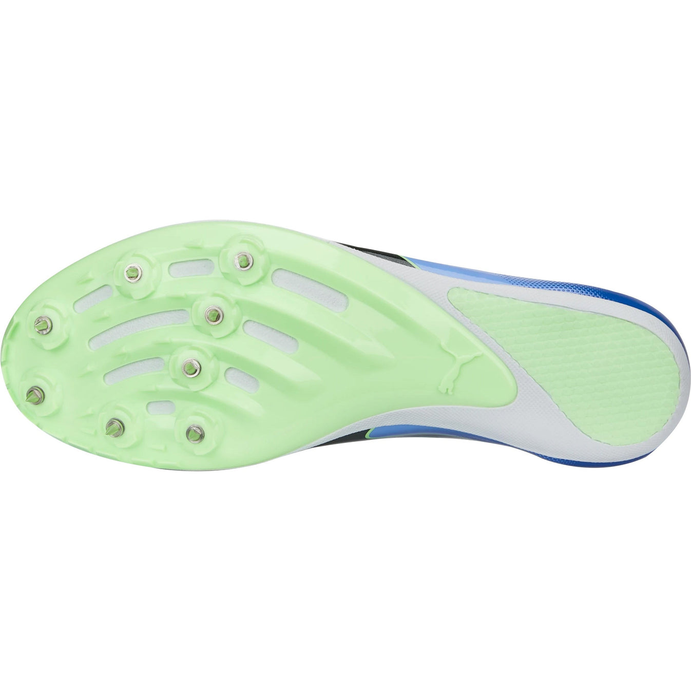 Puma evoSpeed Sprint 14 Running Spikes - Purple – Start Fitness