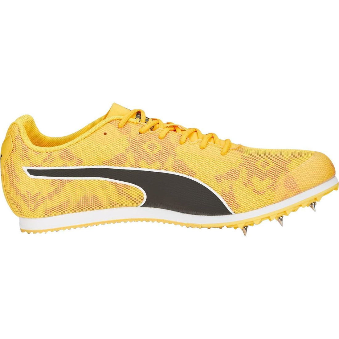 Puma evoSpeed Star 8 Running Spikes - Orange – Start Fitness