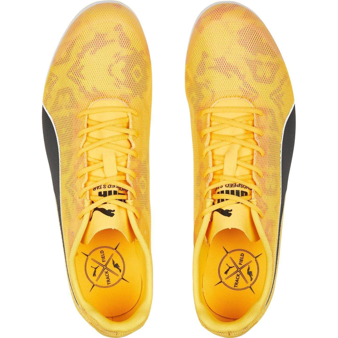 Puma evoSpeed Star 8 Running Spikes - Orange – Start Fitness